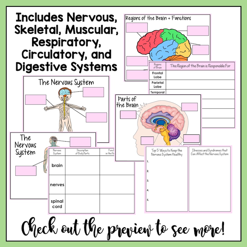 Human Body Systems Research Project | Science Notebook (printable ...