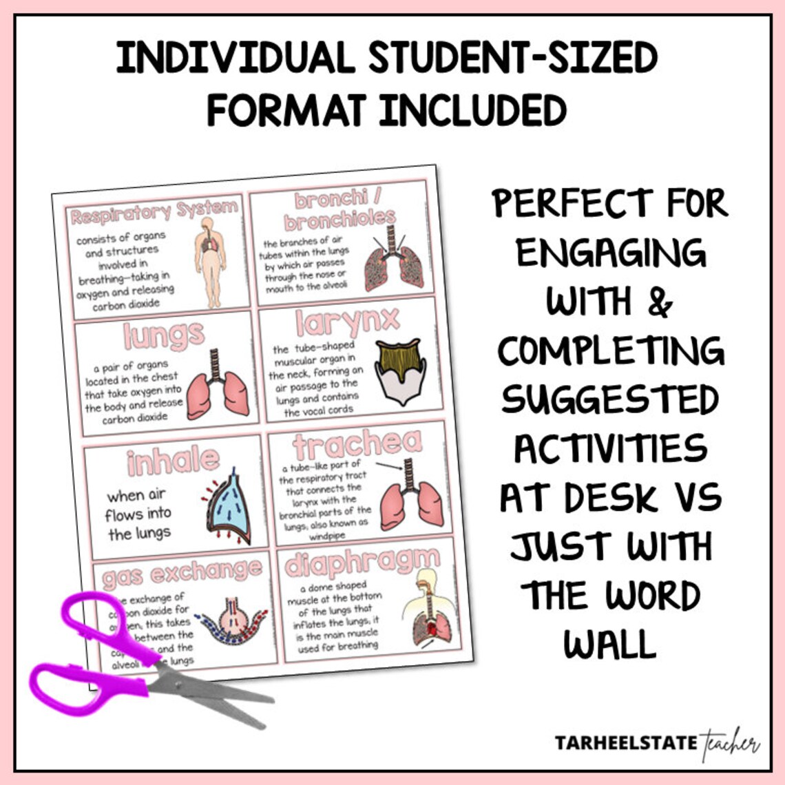 Respiratory & Circulatory System Word Wall | Science Classroom Decor ...