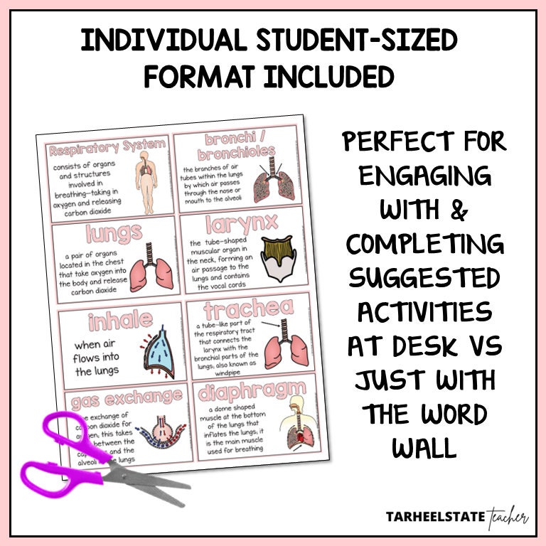 Respiratory and Circulatory System Definition Posters for Science ...