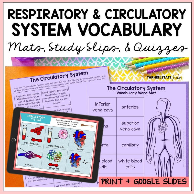 Respiratory & Circulatory System Vocabulary and Definition Practice ...