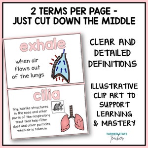 Respiratory & Circulatory System Word Wall | Science Classroom Decor ...
