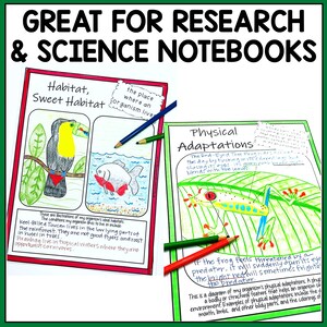 Ecosystem and Biomes Project - Animal Research Graphic Organizers ...