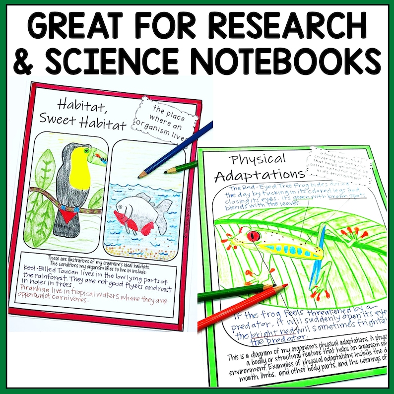 Ecosystem and Biomes Project Animal Research Graphic - Etsy