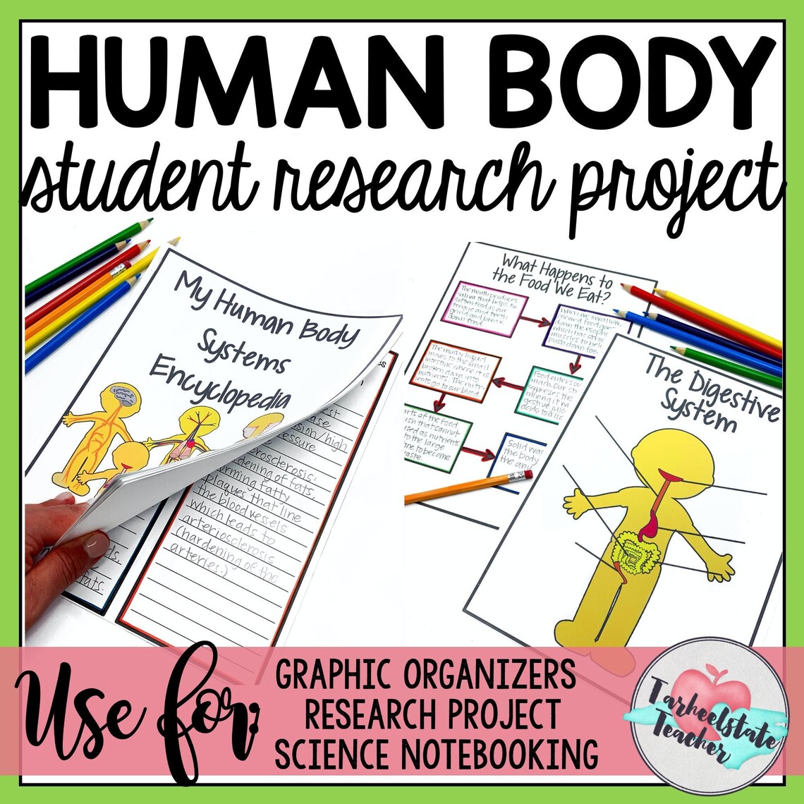 6 Human Body Systems and Functions Research Project | Circulatory ...