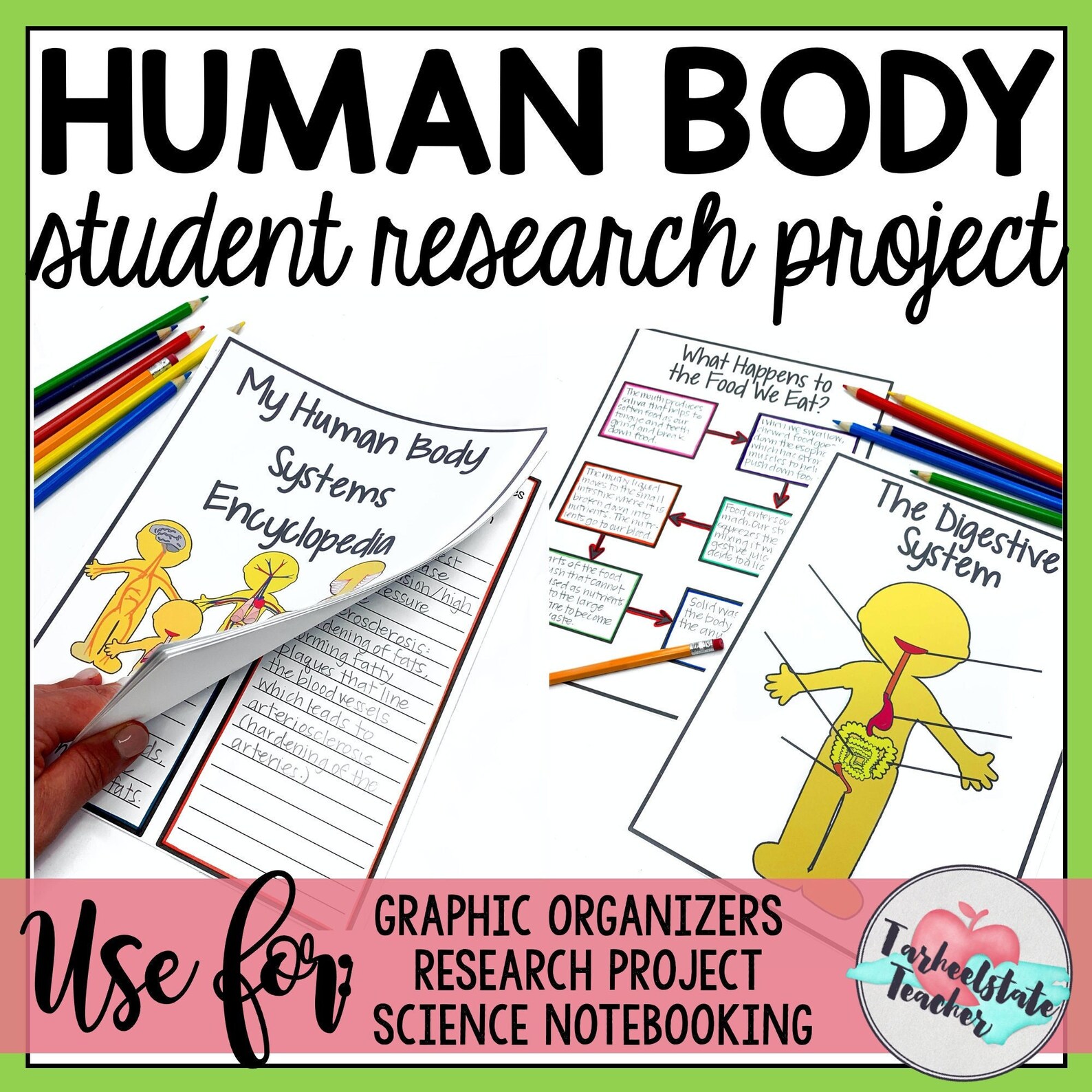 6 Human Body Systems and Functions Research Project | Circulatory ...