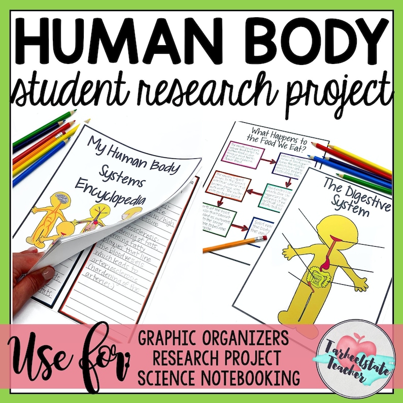 6 Human Body Systems and Functions Research Project | Circulatory ...