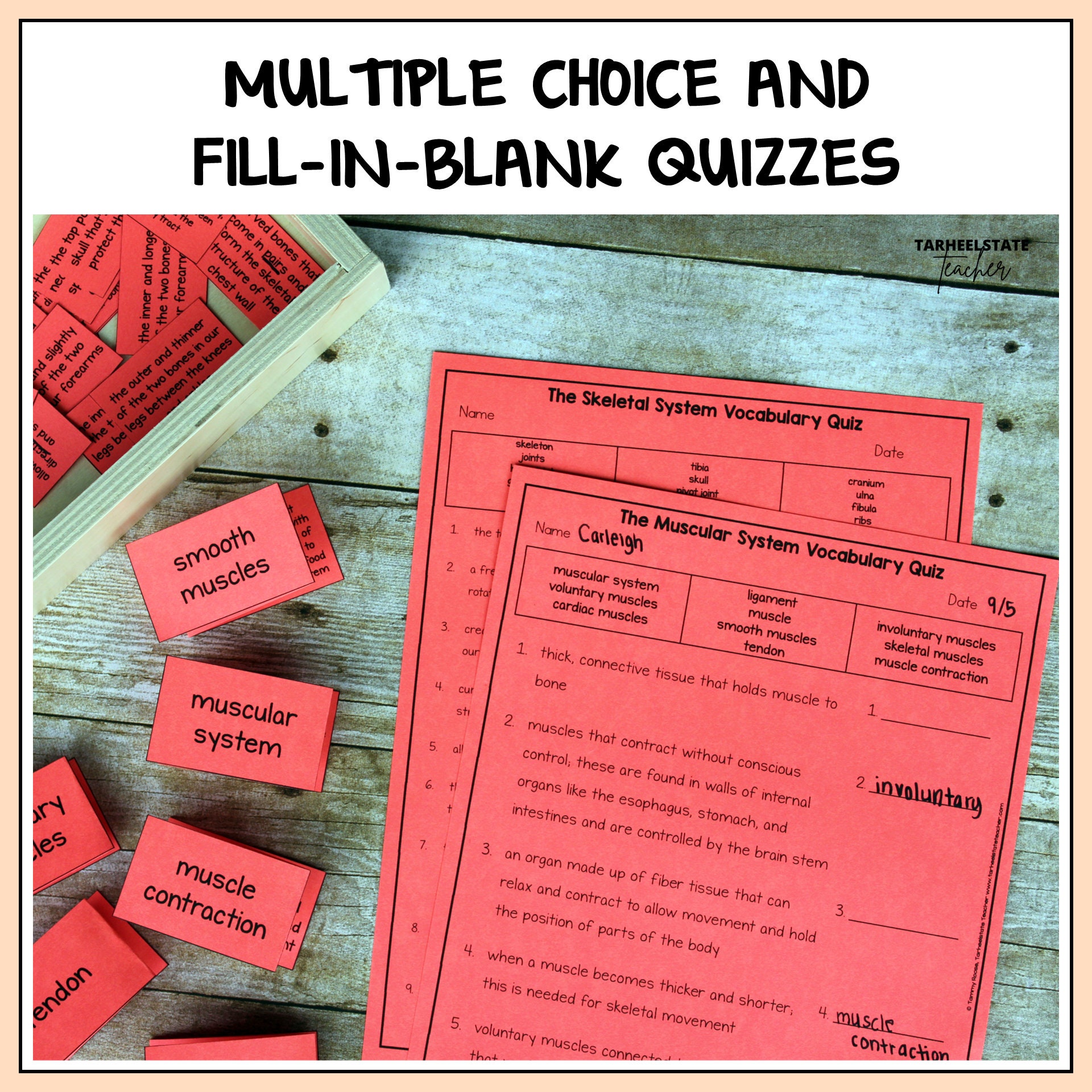 Skeletal & Muscular Systems Vocabulary and Definition Practice | Vocab ...