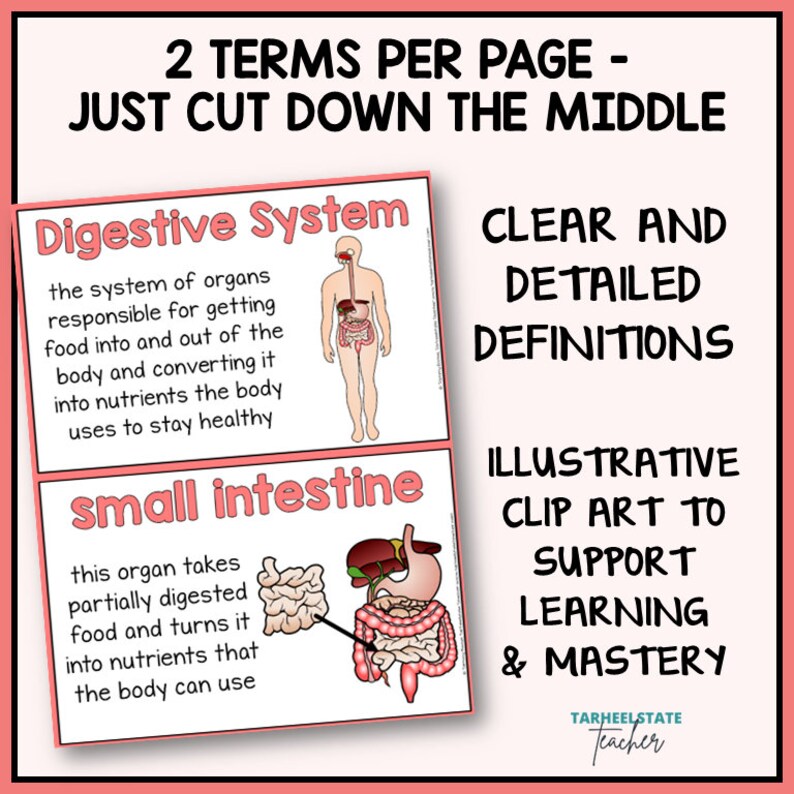 Digestive and Nervous System Definition Posters for Science Bulletin ...