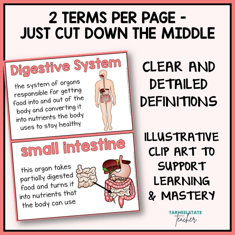 Digestive & Nervous System Word Wall | Science Classroom Decor (PDF ...