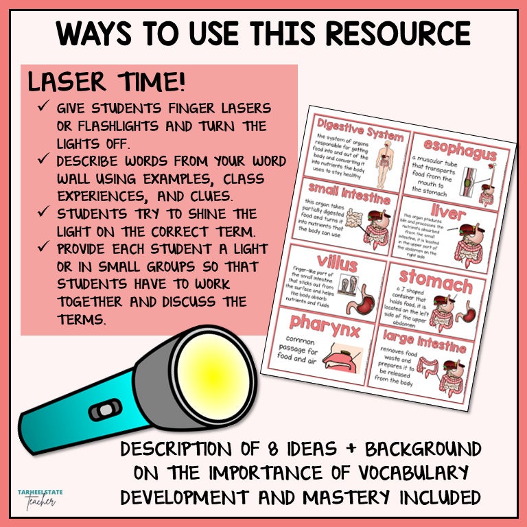 Digestive and Nervous System Definition Posters for Science Bulletin ...
