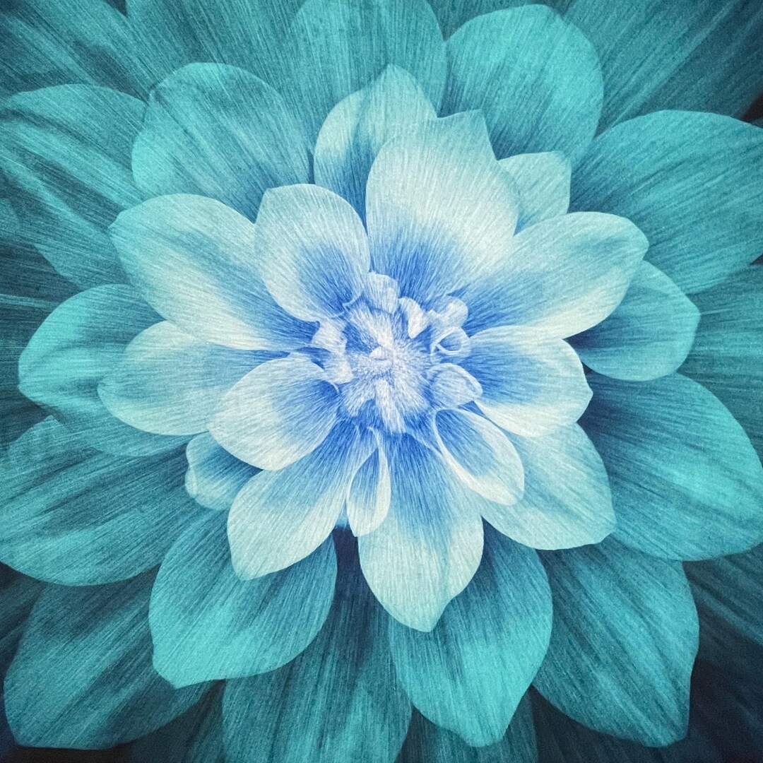 Dream Big Panel "teal" by Hoffman Fabrics - 43" Square - 100% Cotton ...