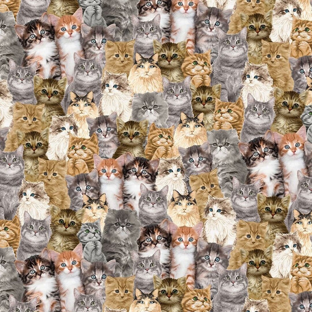 Cat Fabric Packed Realistic Cats Timeless Treasures You - Etsy