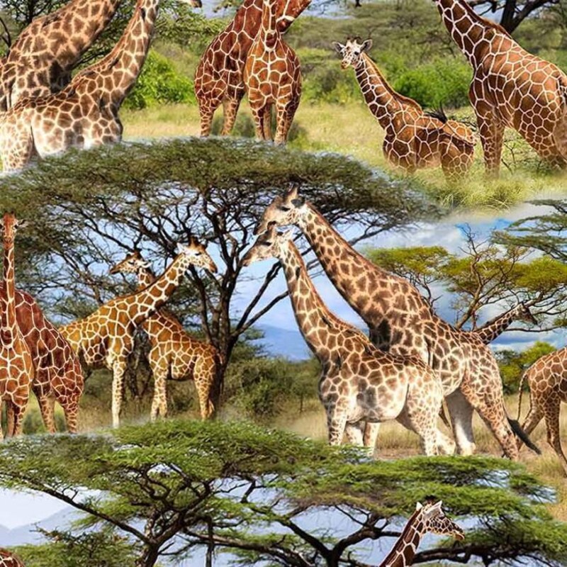 Giraffe Fabric - Etsy