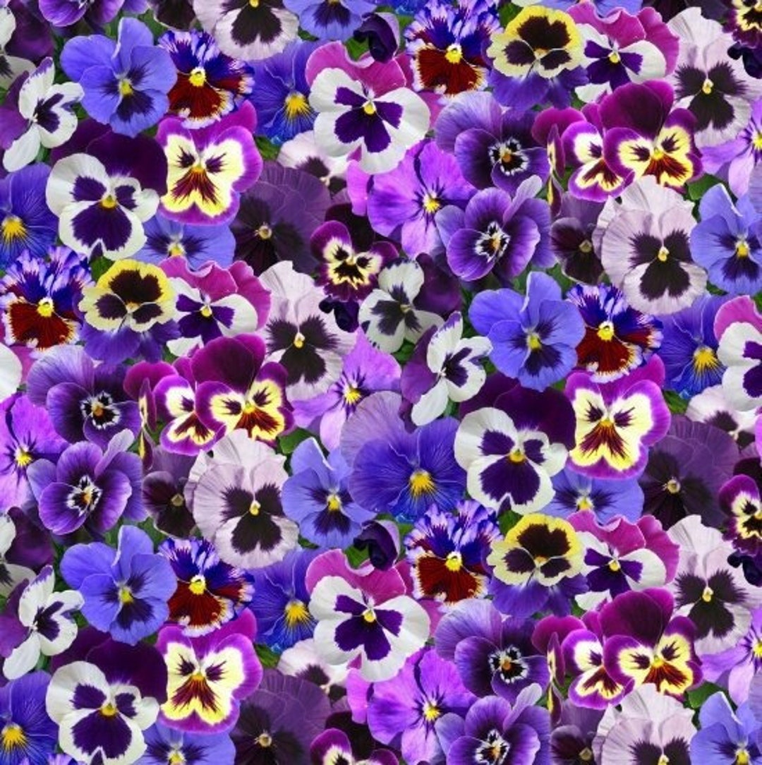 Pansy Fabric by the Yard Elizabeth's Studio 100% Cotton Lovely Pansies ...