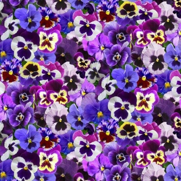 Pansies Fabric - Etsy
