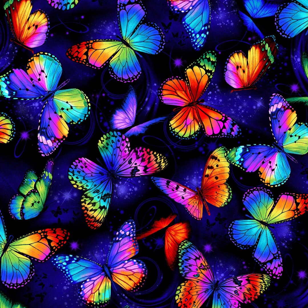 Butterfly Multi Bright Butterflies Flying by Chong A Hwang - Etsy