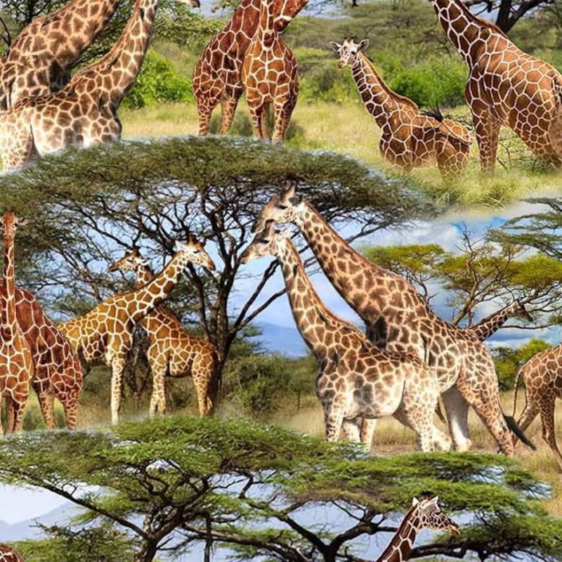 Striped Giraffe - Etsy