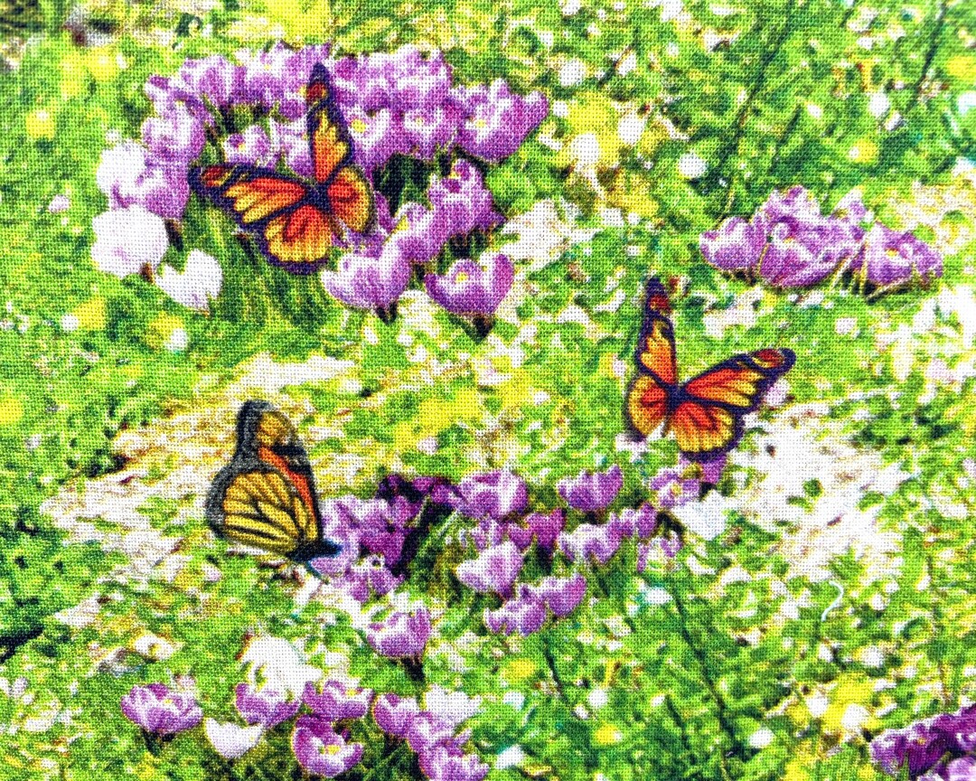 Monarch Butterflies steam in the Spring 100% - Etsy