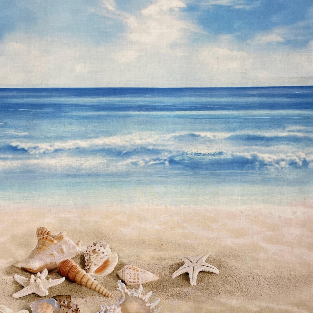 Beach Panel 24 X 44 Beachcomber Panel With Shells by Timeless Treasures ...