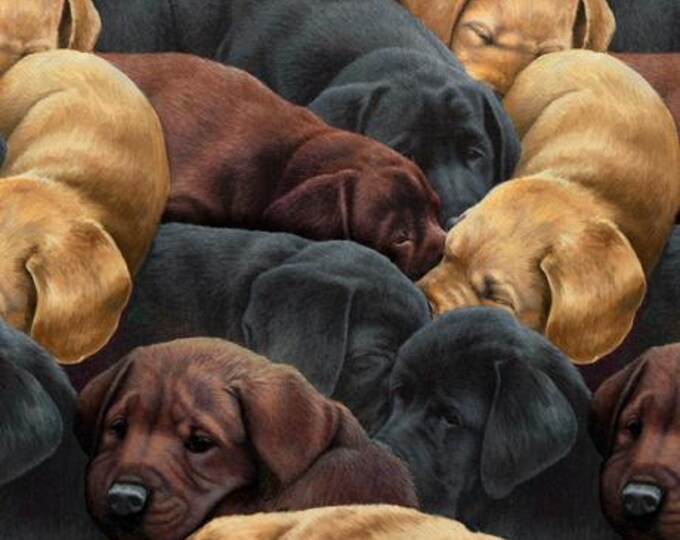 Yellow Labrador Dog Fabric Labrador Yellow Fabric by Petfriendly Small ...