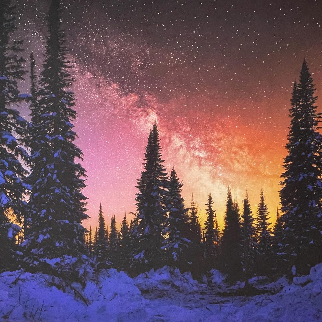 Twilight Nightshade Fabric Panel 42" X 29" - 100% Cotton - Hoffman ...