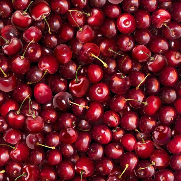 Cherry Fabric - Etsy