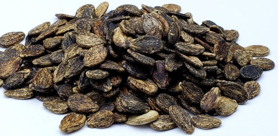 Black Diamond Watermelon Seeds 10 Seeds Hand Harvested - Etsy