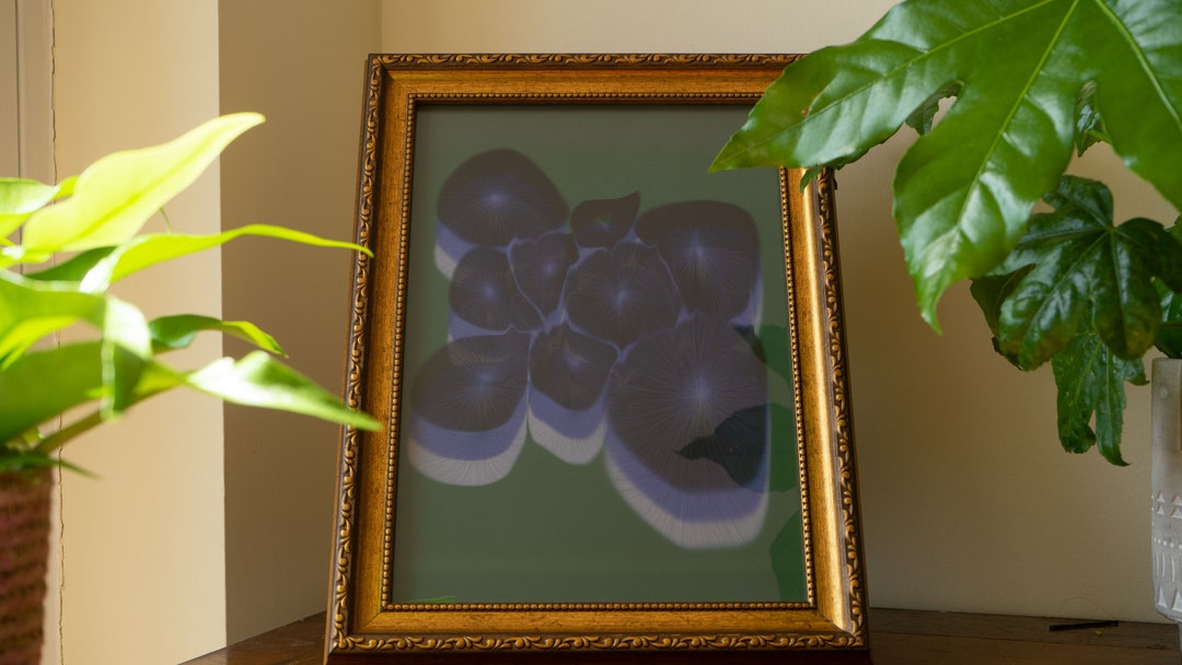 Spore Print Poster Mushroom Inspired Fungi Art Wall Art and Wall Decor ...