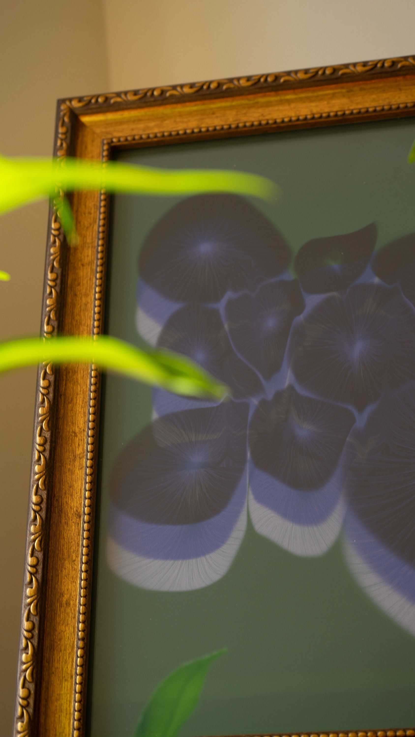 Spore Print Poster Mushroom Inspired Fungi Art Wall Art and Wall Decor ...