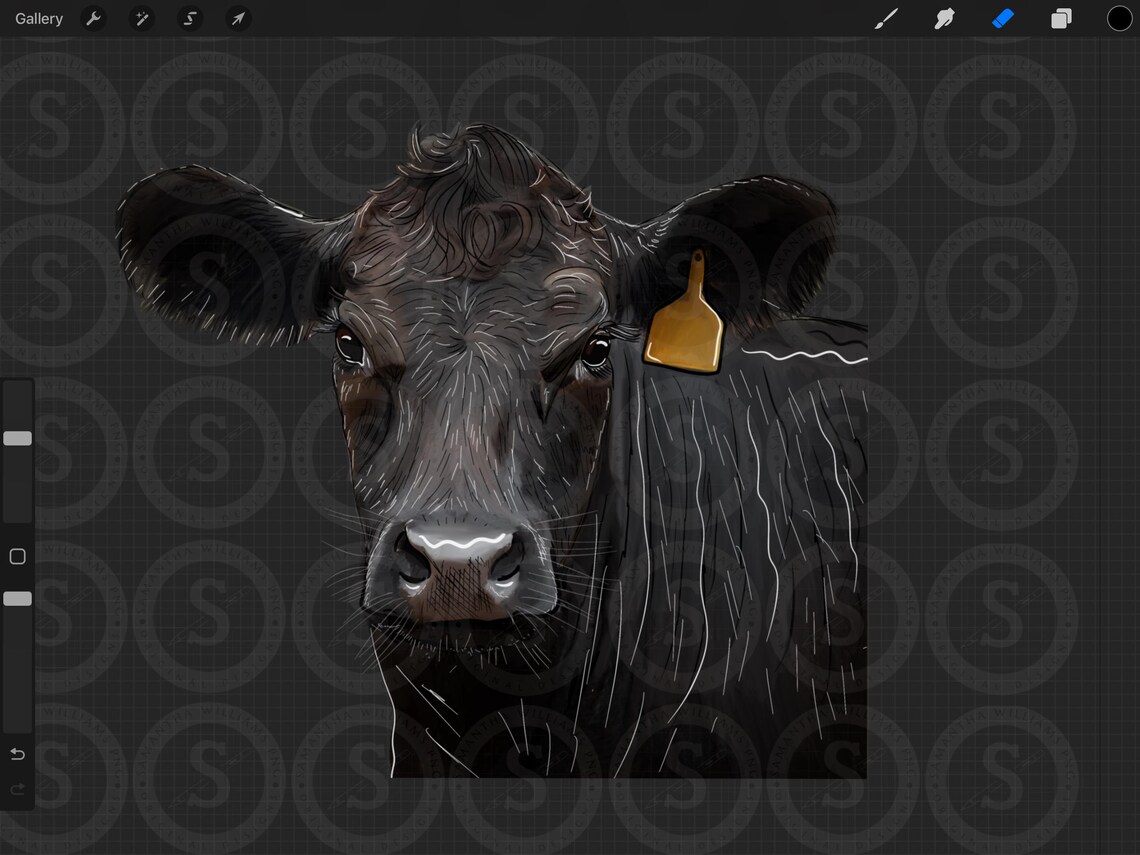 Black Angus PNG, Cattle Png, Cow Png, Pretty Cow, Cute Cow, Dtf File - Etsy