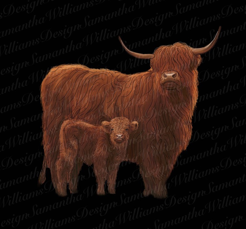 Highland Cow Clipart, Highland Cow and Calf, Highland Heifer Watercolor ...