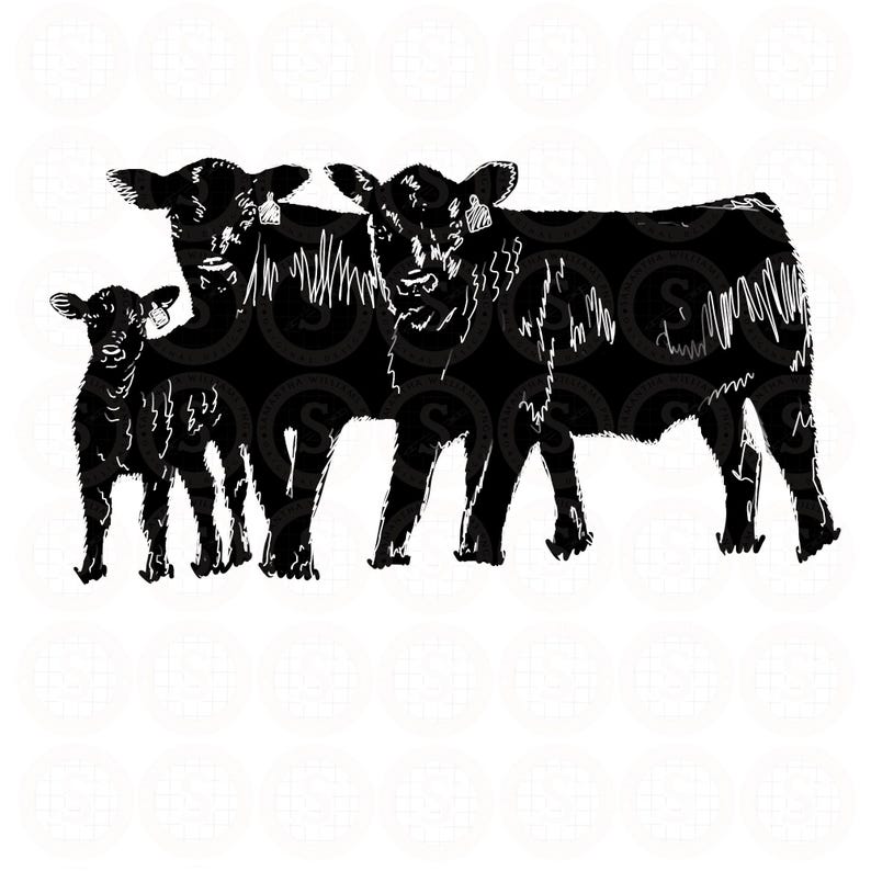 Black Angus PNG, Cattle Beef Cows Png, Cows PNG - Etsy