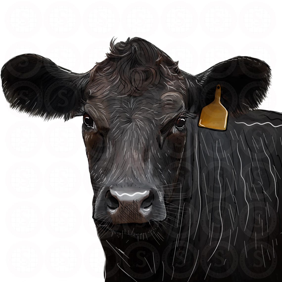 Black Angus PNG, Cattle Png, Cow Png, Pretty Cow, Cute Cow, Dtf File - Etsy