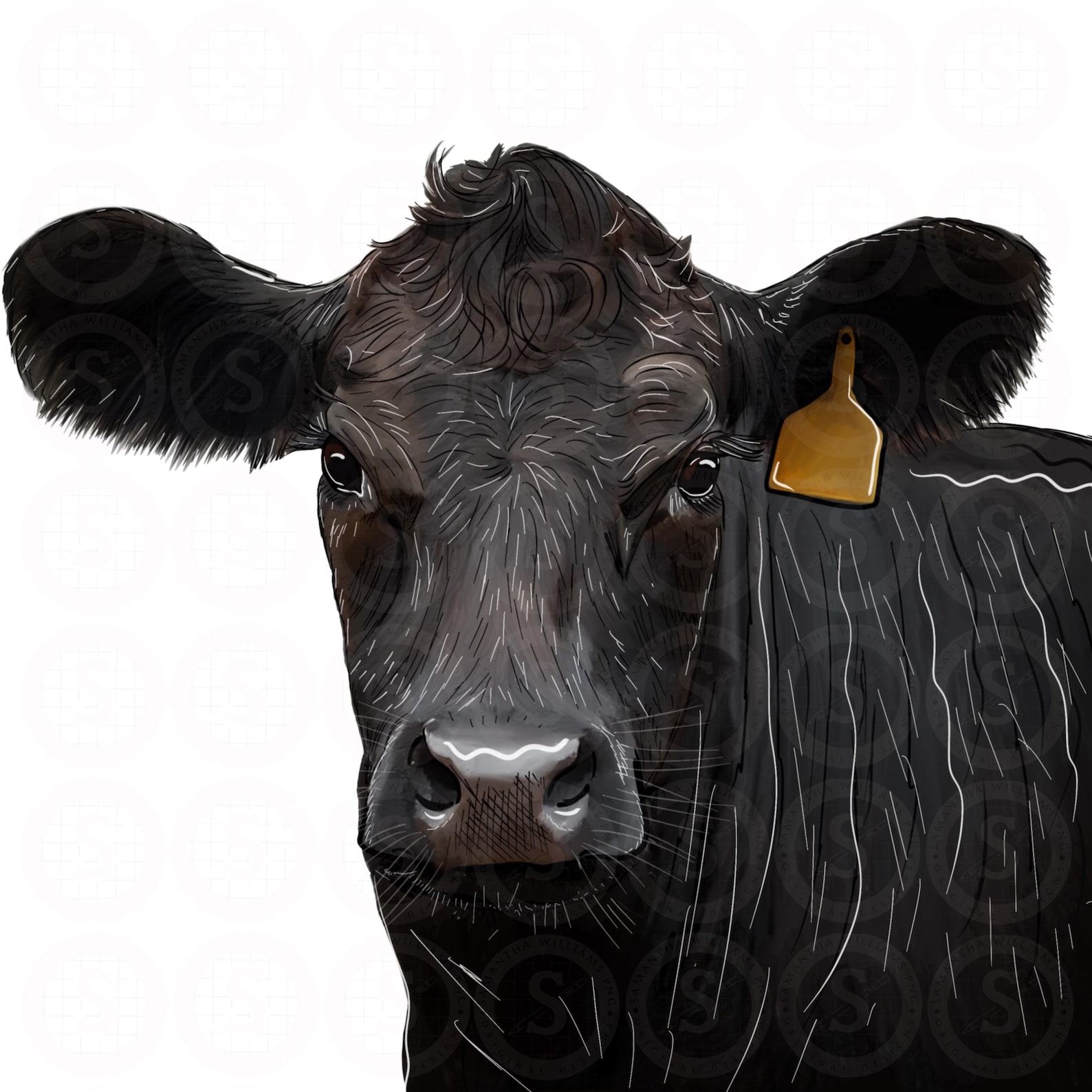 Black Angus PNG, Cattle Png, Cow Png, Pretty Cow, Cute Cow, Dtf File ...