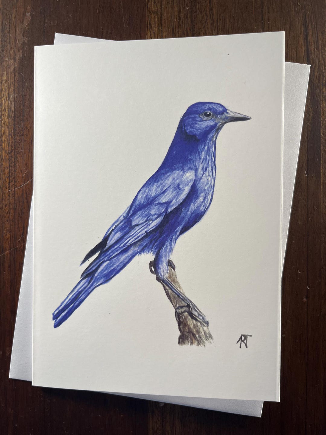 Blue Bird, 5 X 7 Note Card - Etsy