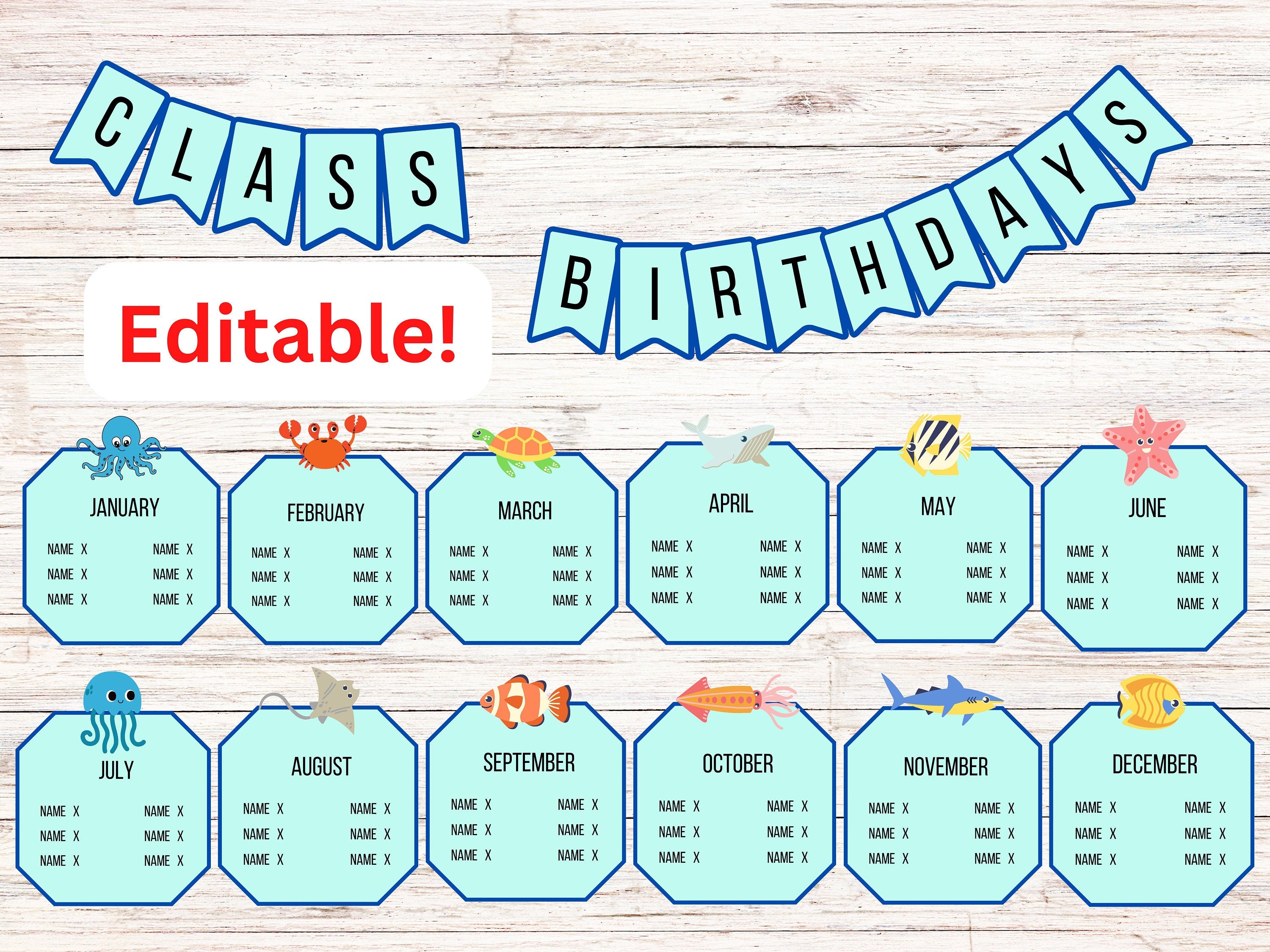 EDITABLE Sea Animal Classroom Birthday Display, Primary School Sea ...