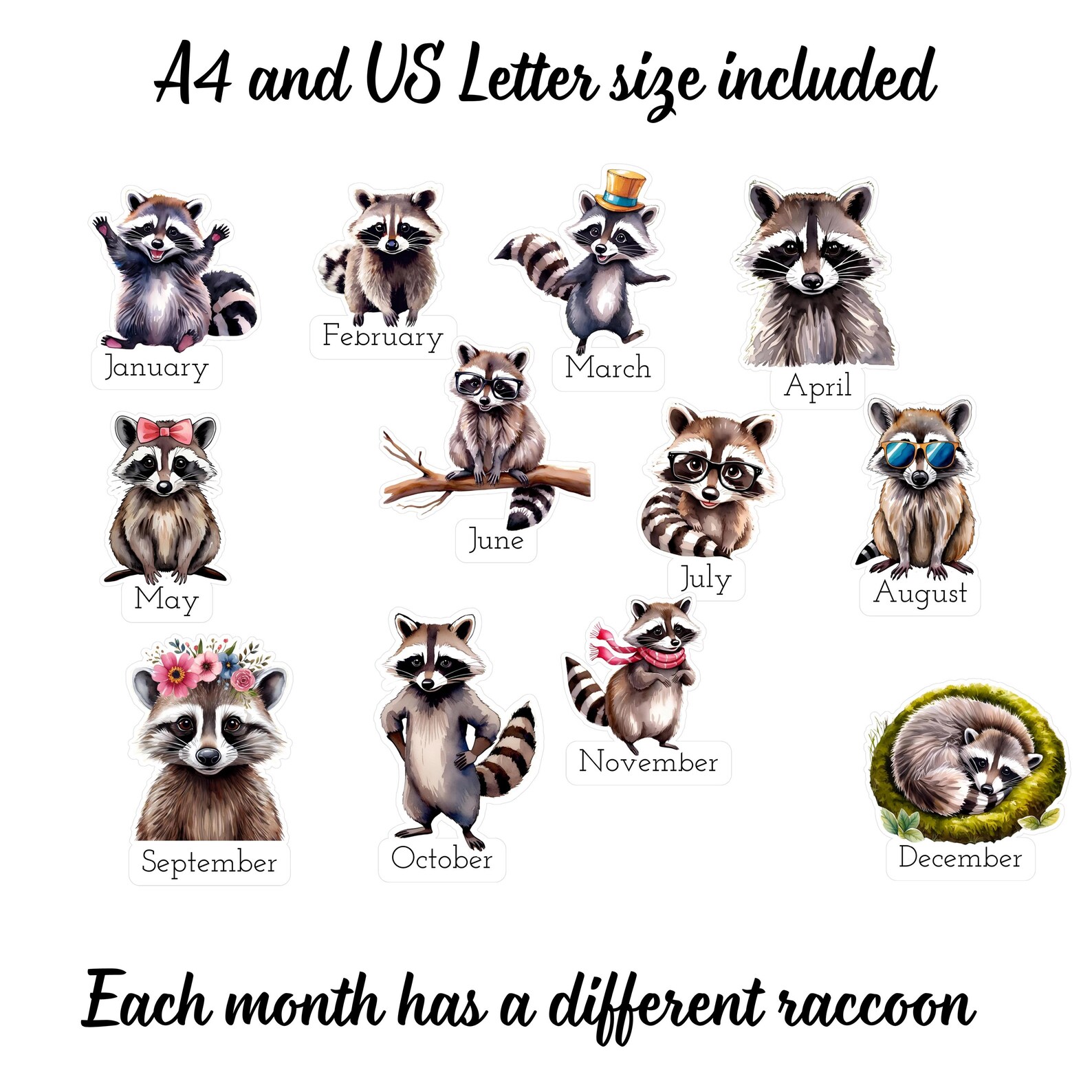 Cute Raccoon Classroom Display, Birthday Chart Kinder, Primary School ...