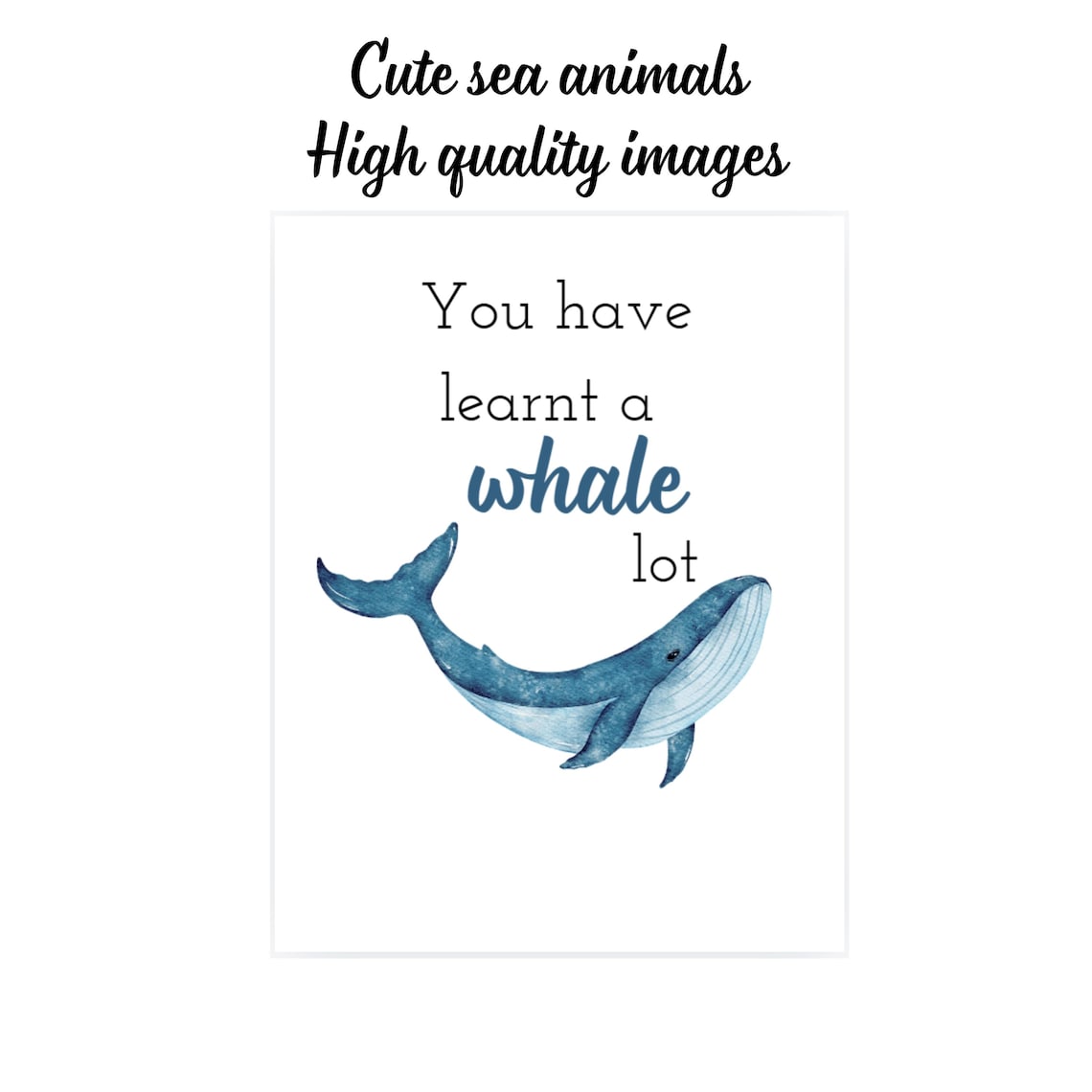 Funny Motivational Sea Animal Poster, Ocean Themed Classroom, Modern ...
