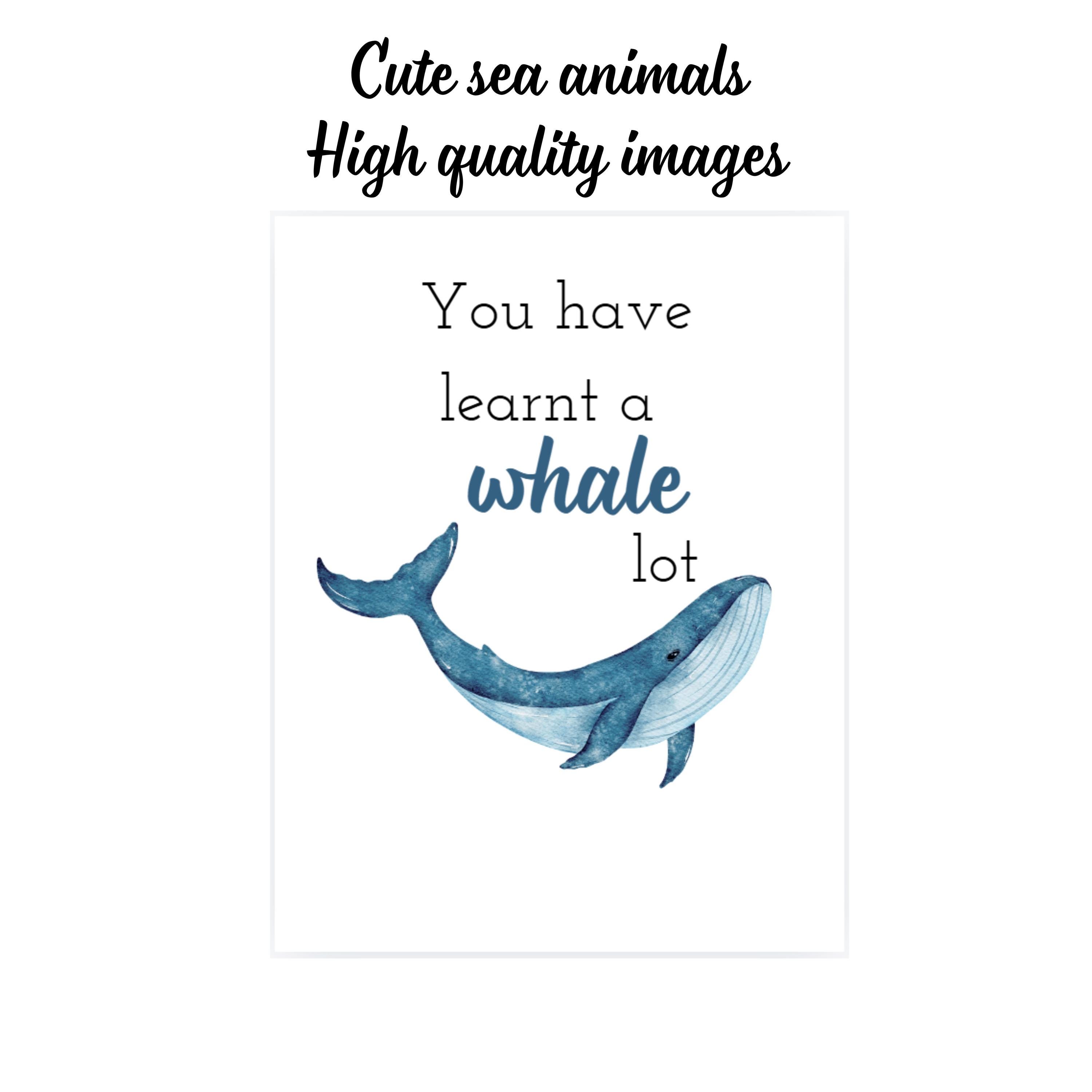 Funny Motivational Sea Animal Poster, Ocean Themed Classroom, Modern ...