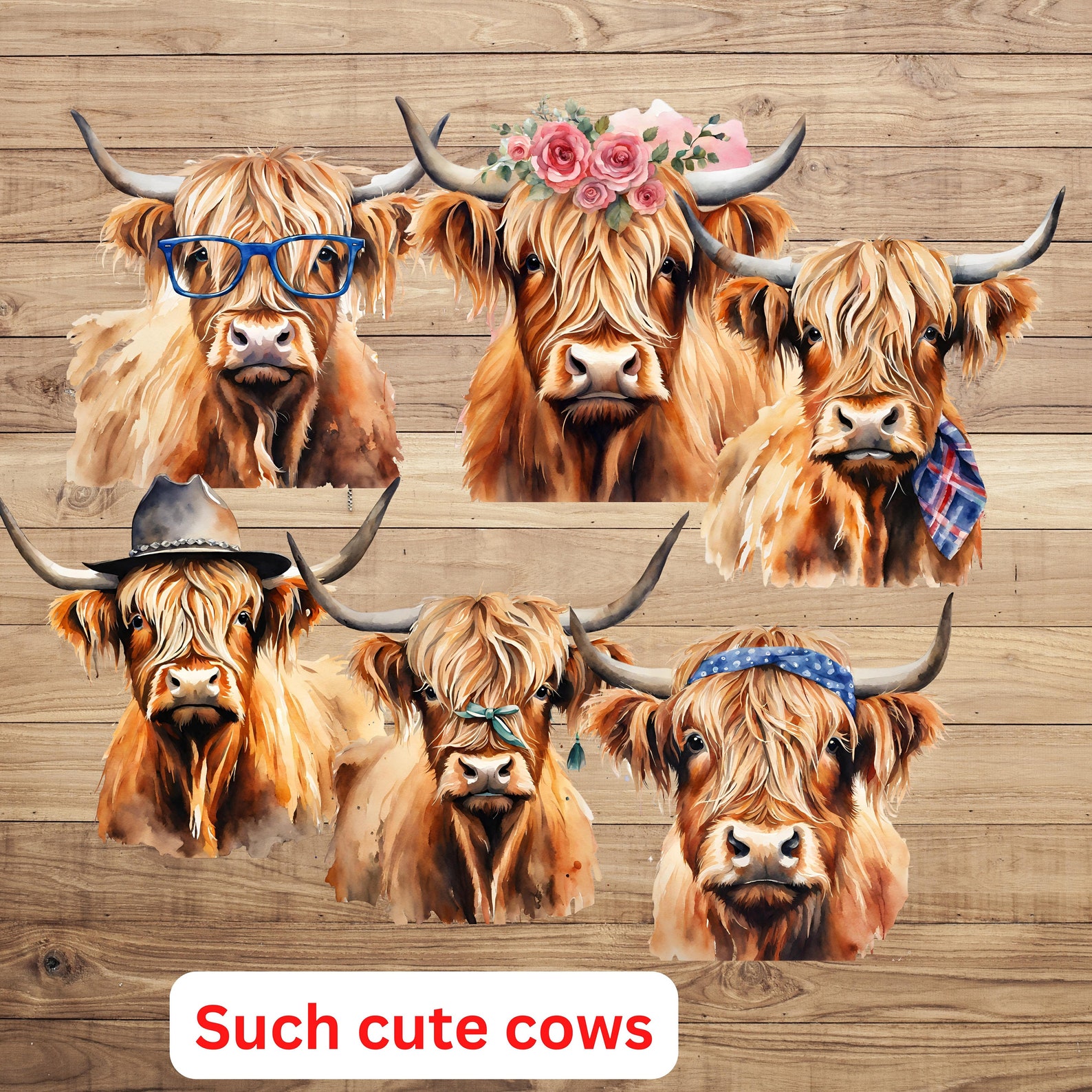 EDITABLE Cow Classroom Birthday Display, Primary School Birthday ...