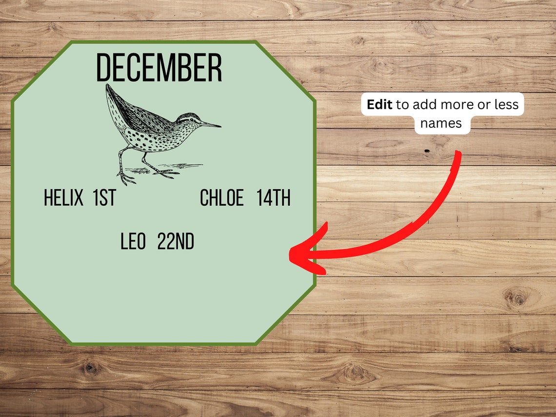 EDITABLE Bird Classroom Birthday Display, Primary School Cute Animal ...