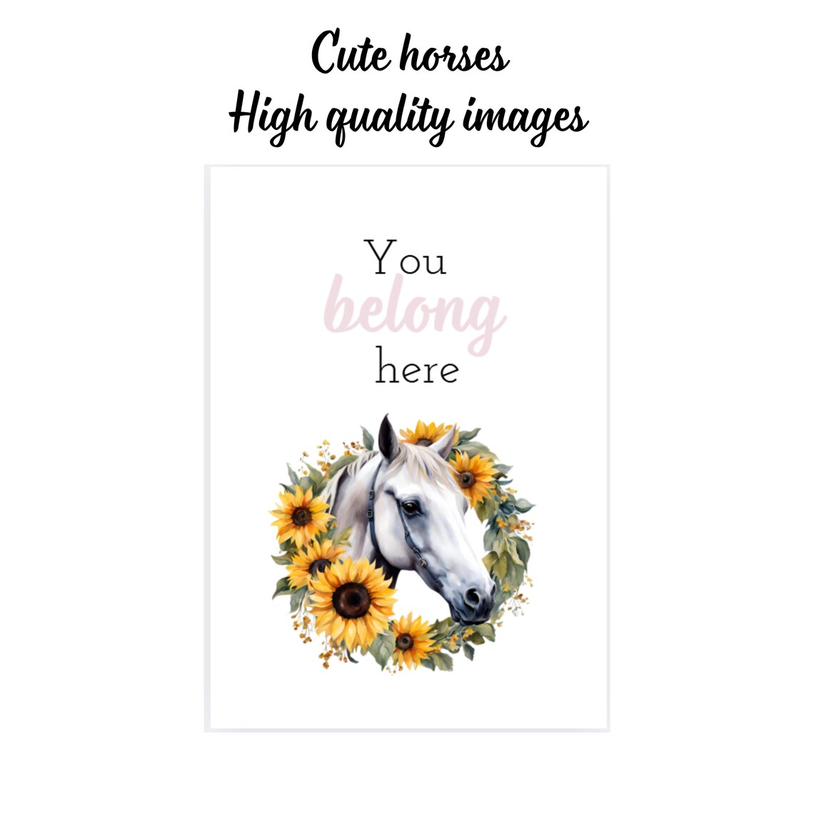 Horse Bulletin Board, Horse Classroom Decor, Horse Classroom ...