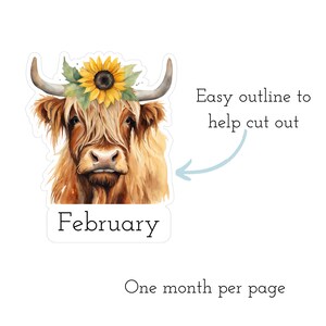 EDITABLE Highland Cow Classroom Birthday Display, Primary School ...