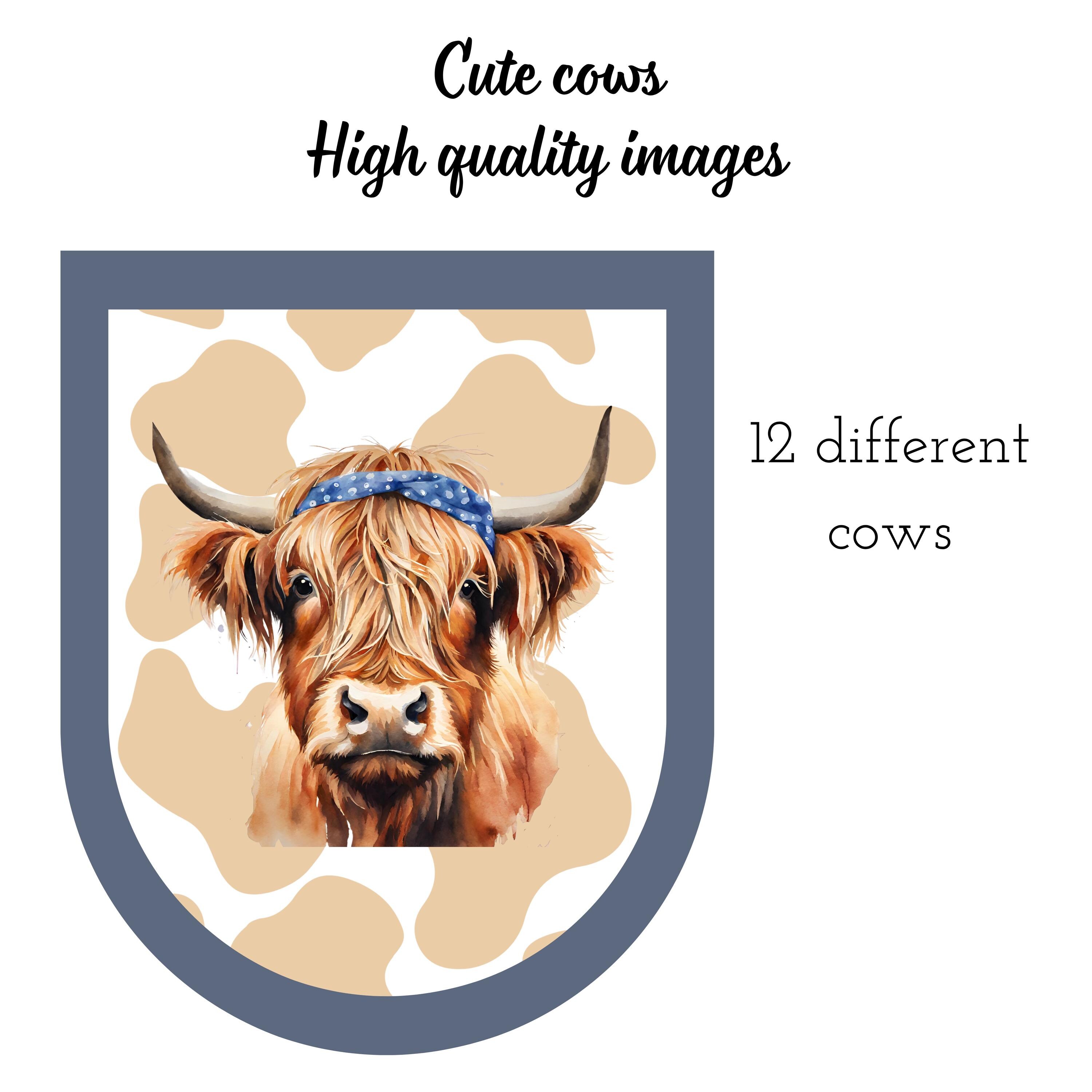 Highland Cow Bulletin Board, Cow Classroom Decor, Cow Classroom ...