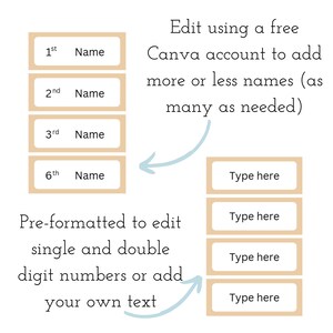 Cute Raccoon Classroom Display, Birthday Chart Kinder, Primary School ...