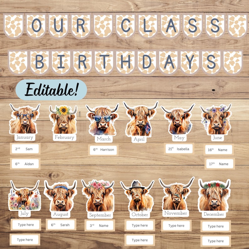 EDITABLE Highland Cow Classroom Birthday Display, Primary School ...