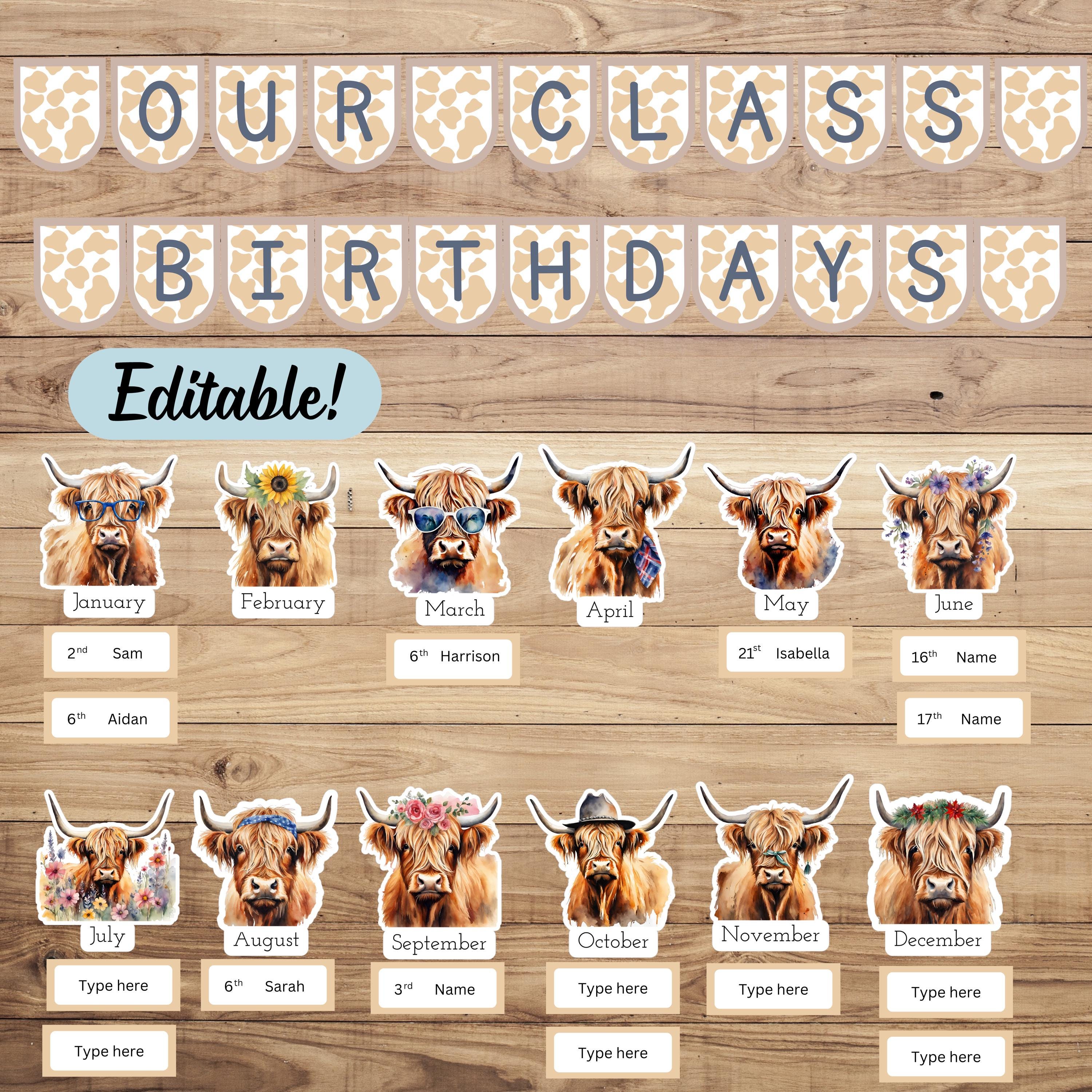 EDITABLE Highland Cow Classroom Birthday Display, Primary School ...