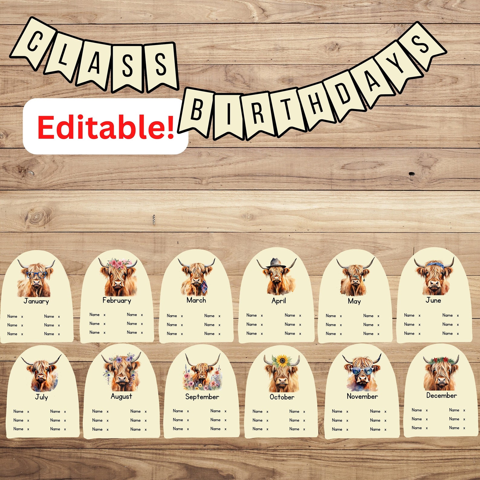 EDITABLE Cow Classroom Birthday Display, Primary School Birthday ...