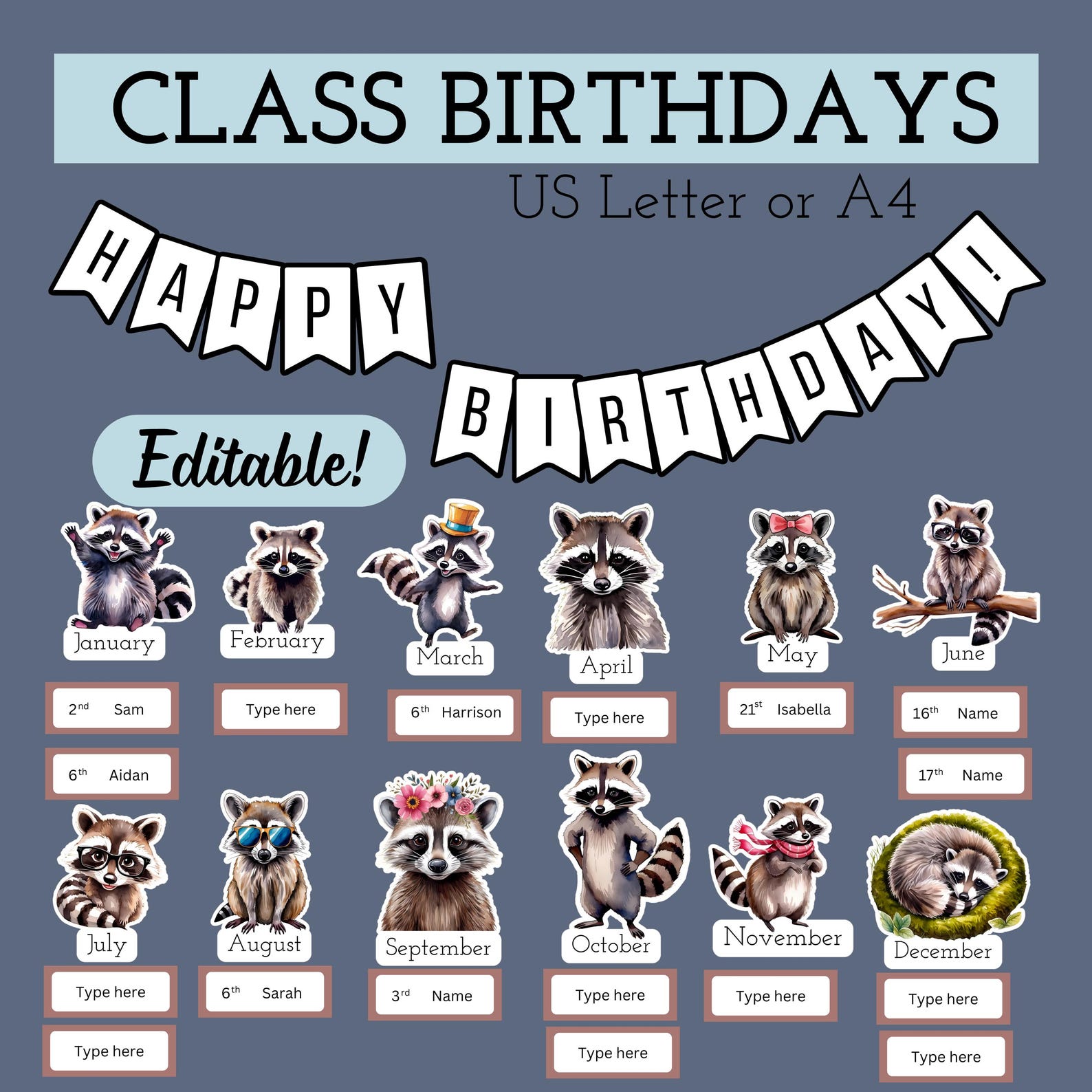 Cute Raccoon Classroom Display, Birthday Chart Kinder, Primary School ...