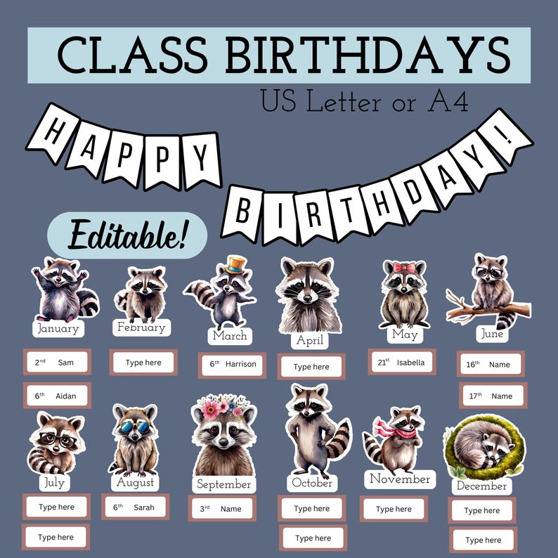 Cute Raccoon Classroom Display, Birthday Chart Kinder, Primary School ...